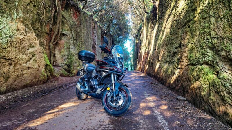 Puerto de la Cruz Motorbike tour through Teide National Park - An Exciting Ride Through Tenerife’s Volcanic Heart