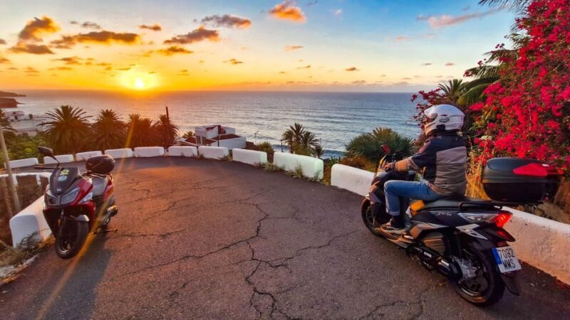Puerto de la Cruz Motorbike tour through Teide National Park - Who Will Love This Tour
