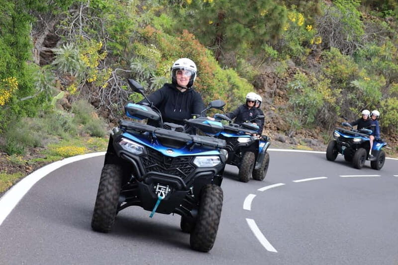 Puerto de la Cruz: Quad Trip Teide National Park - Who Will Love This Tour?