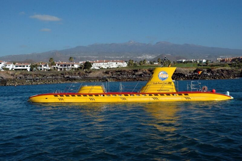Puerto de la Cruz: Submarine Trip and Beach Stop in Tenerife - An In-Depth Look at the Tour