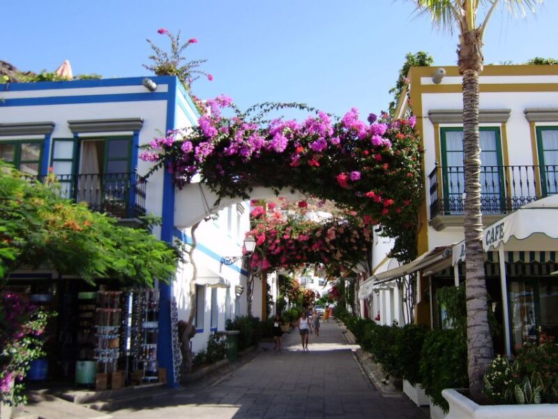 Puerto de Mogan: Friday Market Experience - Key Points