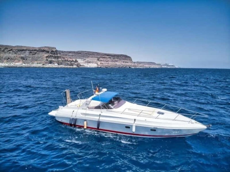 Puerto de Mogán: PRIVATE Yacht for up to 10 persons - Setting Sail from Puerto de Mogán