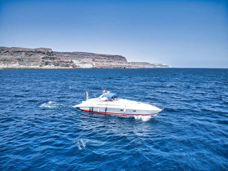 Puerto de Mogán: PRIVATE Yacht for up to 10 persons - Itinerary Highlights