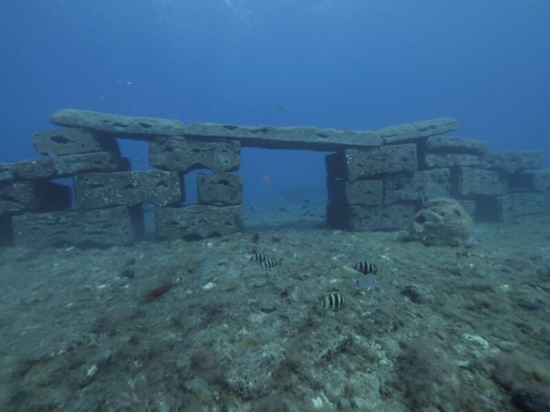Puerto de Mogán: Submarine Tour - Key Points