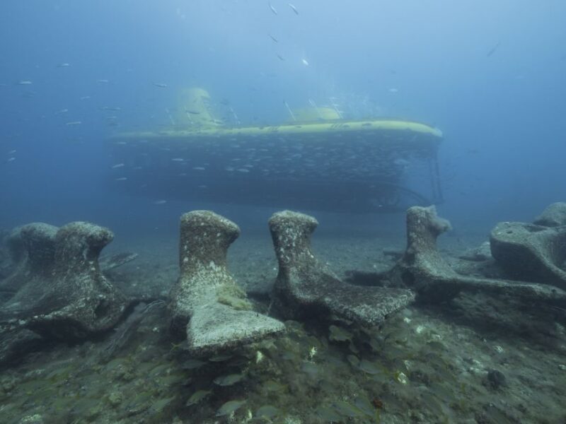 Puerto de Mogán: Submarine Tour - The Value Proposition