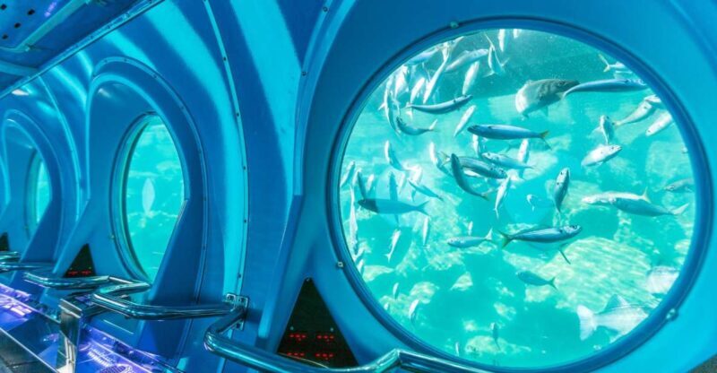 Puerto de Mogán: Submarine Tour - Who Should Consider This Tour?