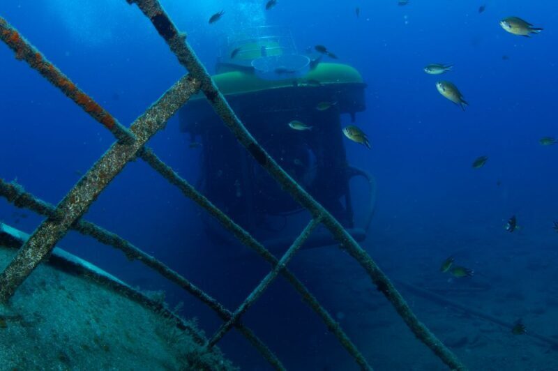 Puerto de Mogán: Submarine Tour - Final Thoughts