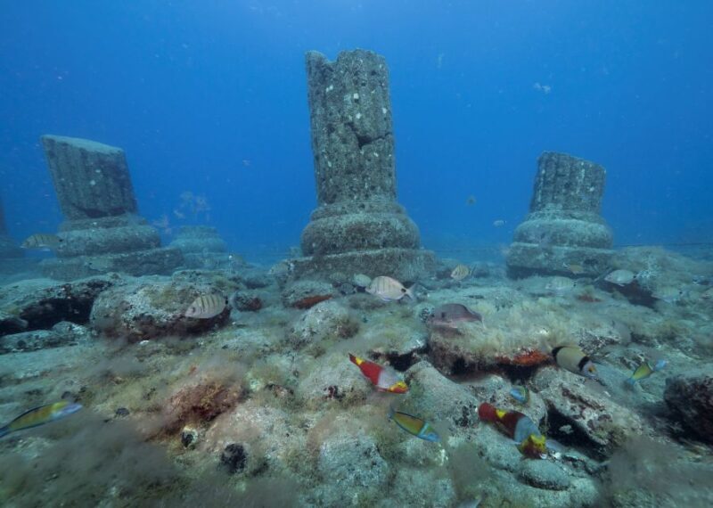 Puerto de Mogán: Submarine Tour - FAQs