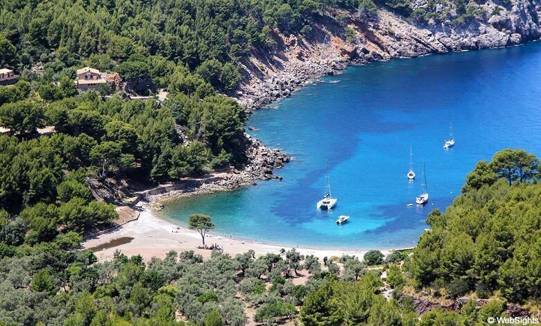 Puerto de Sóller: Cala Tuent Return Boat Trip - Key Points
