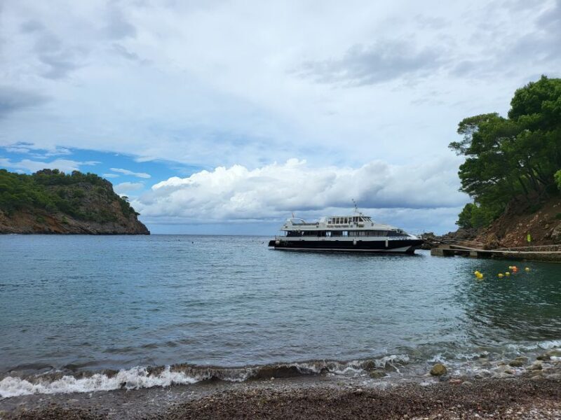 Puerto de Sóller: Cala Tuent Return Boat Trip - An In-Depth Look at the Puerto de Sóller: Cala Tuent Boat Trip
