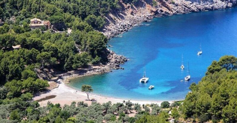 Puerto de Sóller: Cala Tuent Return Boat Trip - Who Will Find This Tour Most Valuable?