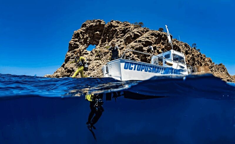 Puerto de Soller: Train and Discover Scuba Diving - Key Points