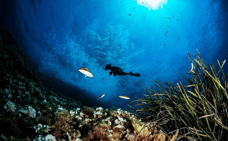 Puerto de Soller: Train and Guided Scuba Diving Experience - Key Points
