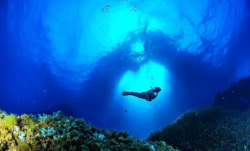Puerto de Soller: Train and Guided Scuba Diving Experience - An Introduction to the Experience