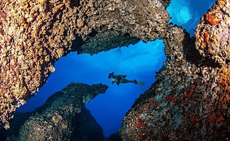 Puerto de Soller: Train and Guided Scuba Diving Experience - Detailed Breakdown of the Itinerary