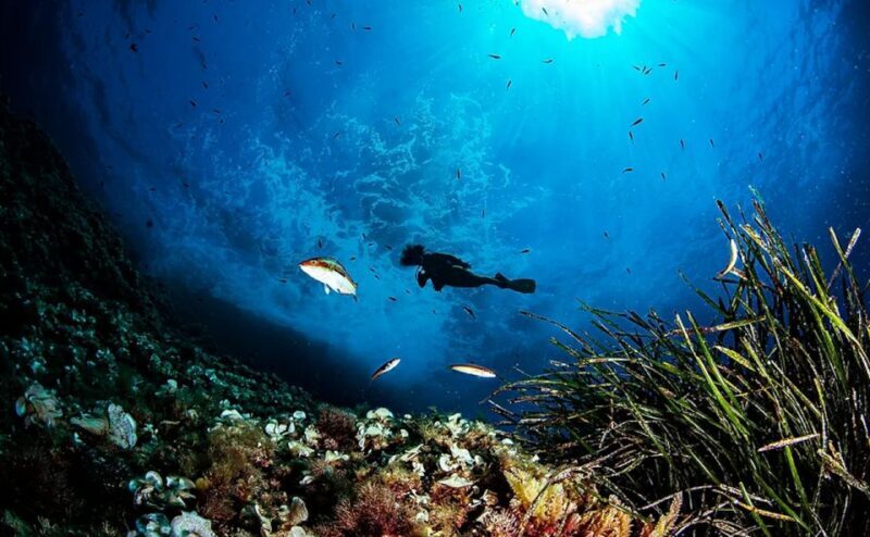 Puerto de Soller: Train and Guided Scuba Diving Experience - Who This Tour Is Best For