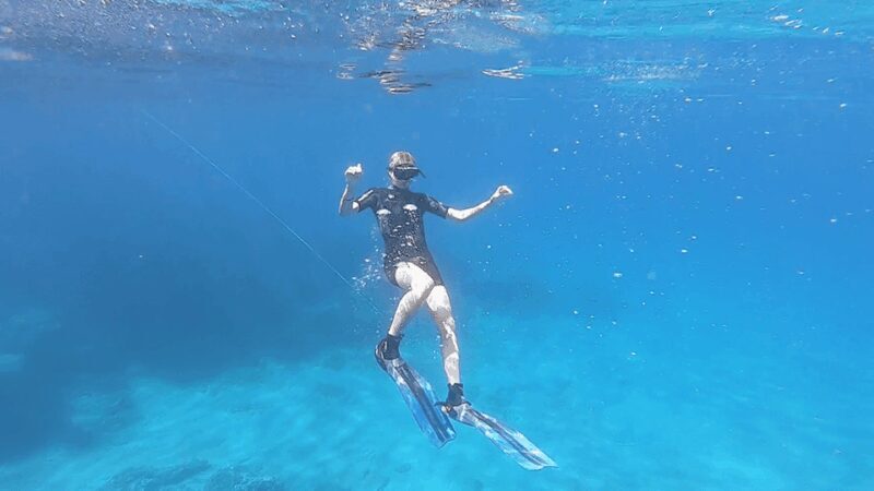 Puerto de Sóller: Train, Boat Cruise and snorkeling - Key Points