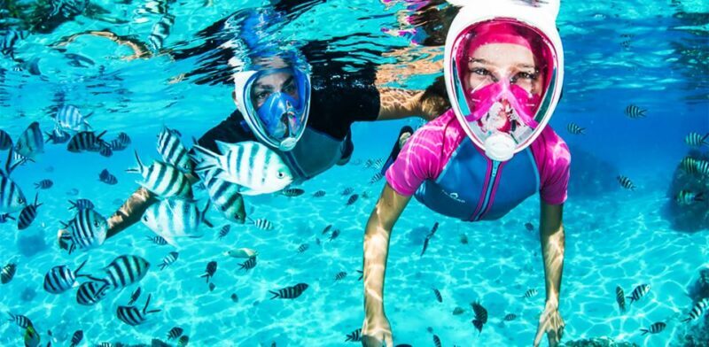Puerto del Carmen: Dolphin-Watching Speedboat Tour with Swim - Exploring the Tour Experience