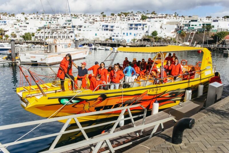 Puerto del Carmen: Dolphin-Watching Speedboat Tour with Swim - Value and Practical Tips