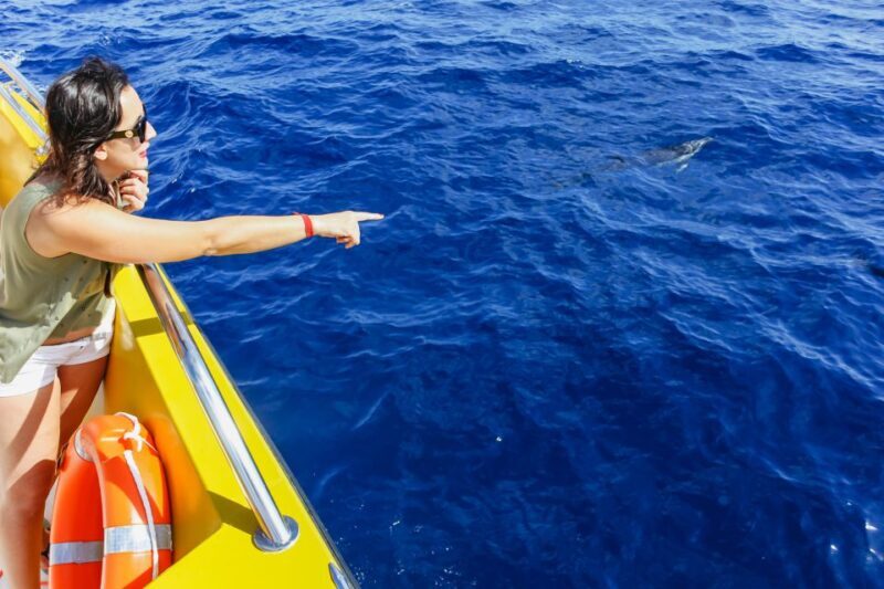 Puerto del Carmen: Dolphin-Watching Speedboat Tour with Swim - FAQs