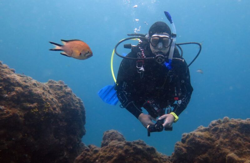 Puerto del Carmen: Guided Scuba Dive (certified only) - An Authentic Look at Lanzarotes Underwater Charm