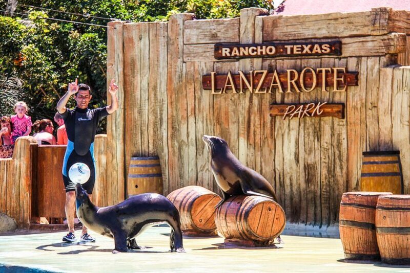 Puerto del Carmen: Rancho Texas Lanzarote Park Entry Ticket - A Detailed Look at the Experience