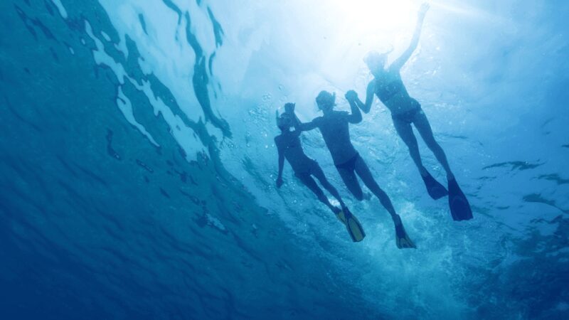 Puerto del Carmen: Snokel tour with an instructor - The Value of This Snorkeling Tour