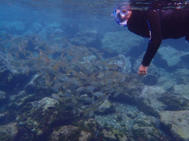 Puerto del Carmen: Snorkeling Trip with Dive Instructor - Gear and Safety