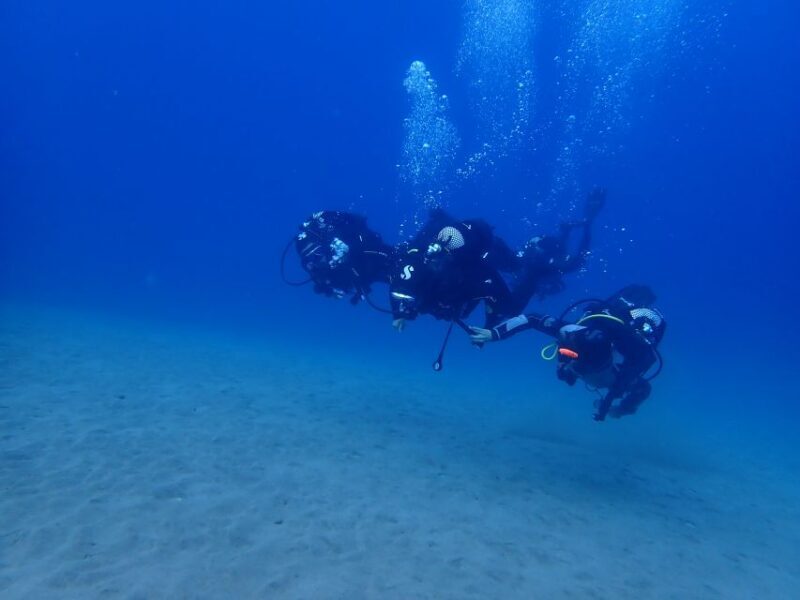 Puerto del Carmen: Try Scuba Diving from the beach - What’s Included & What You Need to Know