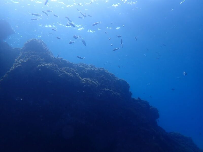 Puerto del Carmen: Try Scuba Diving from the beach - The Value of This Experience