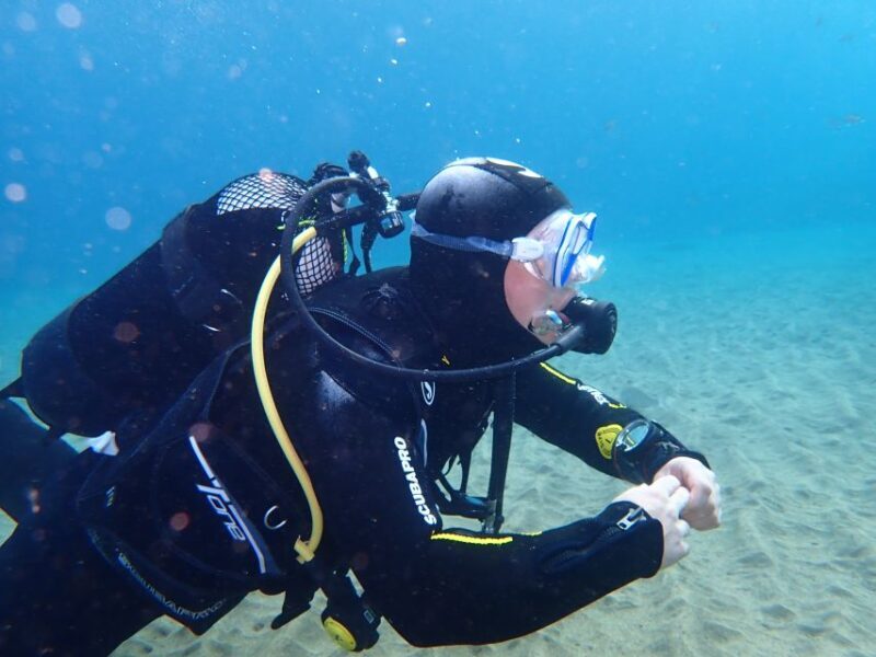 Puerto del Carmen: Try Scuba Diving from the beach - Who Will Love This Experience?