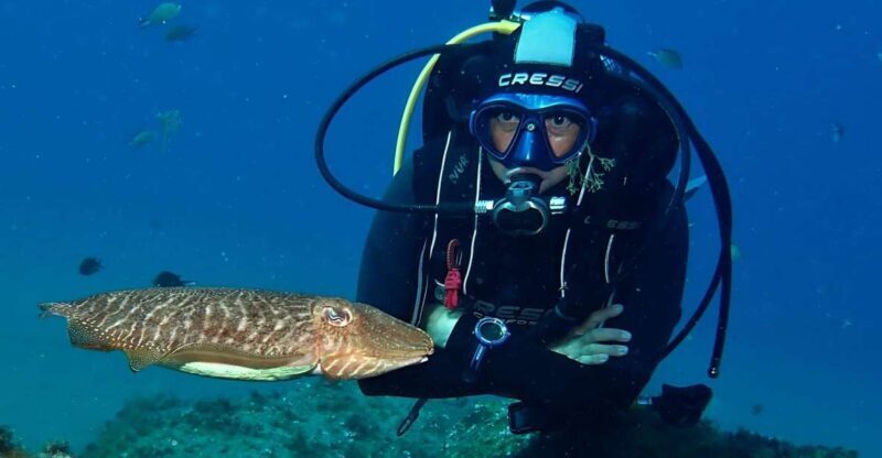 Puerto Del Carmen: Try Scuba Diving with 2 Dives and Photos - Key Points