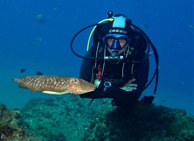 Puerto Del Carmen: Try Scuba Diving with 2 Dives and Photos - The Quality of Guidance and Equipment