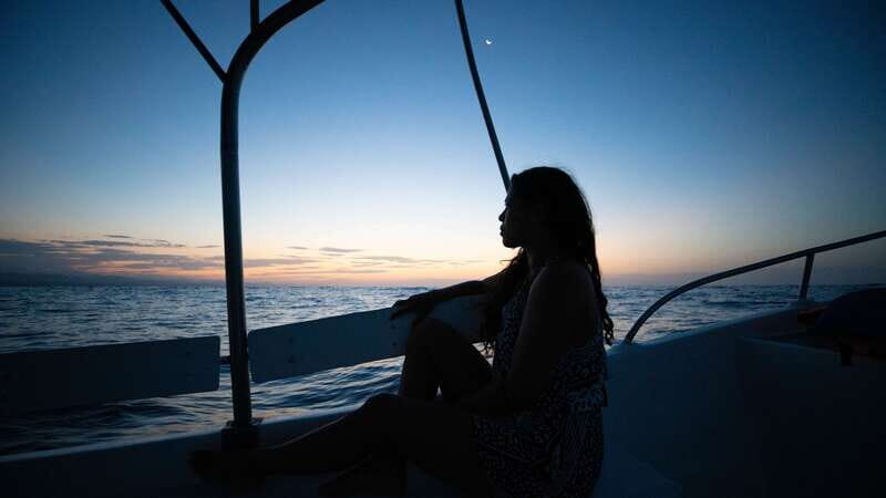 Puerto Escondido: Boat Tour among Dolphins and Turtles - Key Points