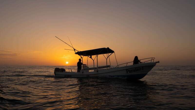 Puerto Escondido: Boat Tour among Dolphins and Turtles - Exploring the Experience in Detail