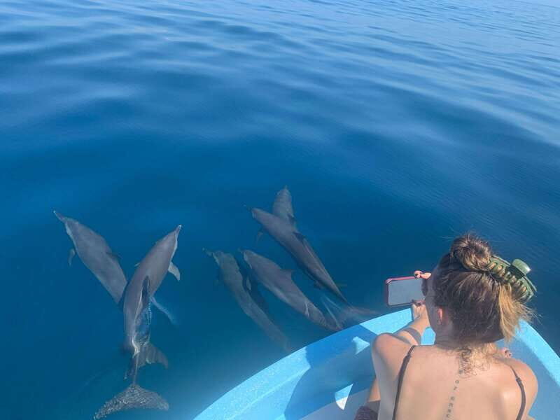 Puerto Escondido: Boat Tour to see Dolphins and Marine Life - Key Points