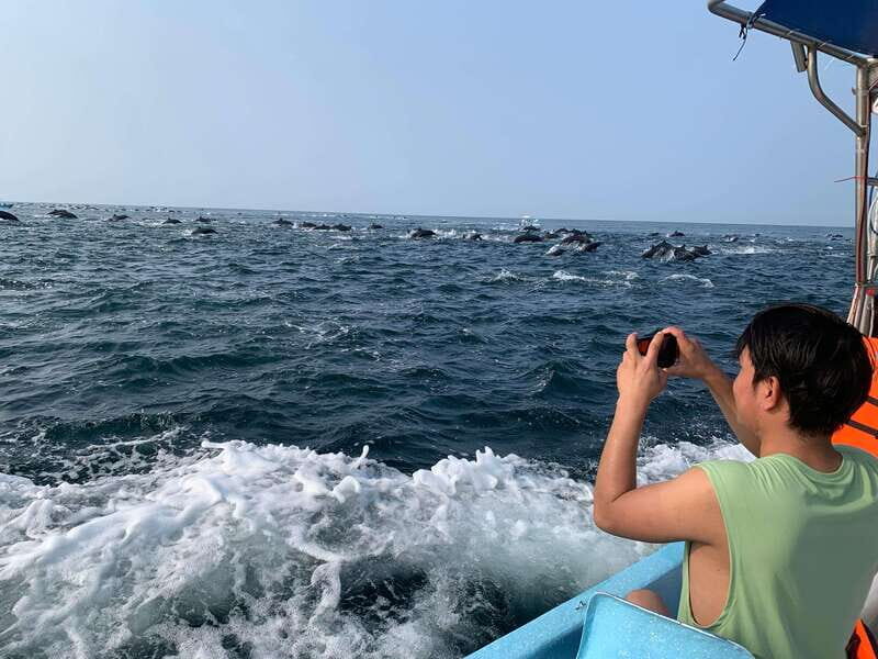 Puerto Escondido: Boat Tour to see Dolphins and Marine Life - What’s Included and What to Bring