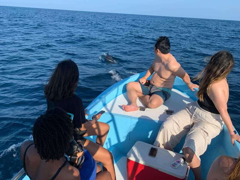 Puerto Escondido: Boat Tour to see Dolphins and Marine Life - Final Thoughts