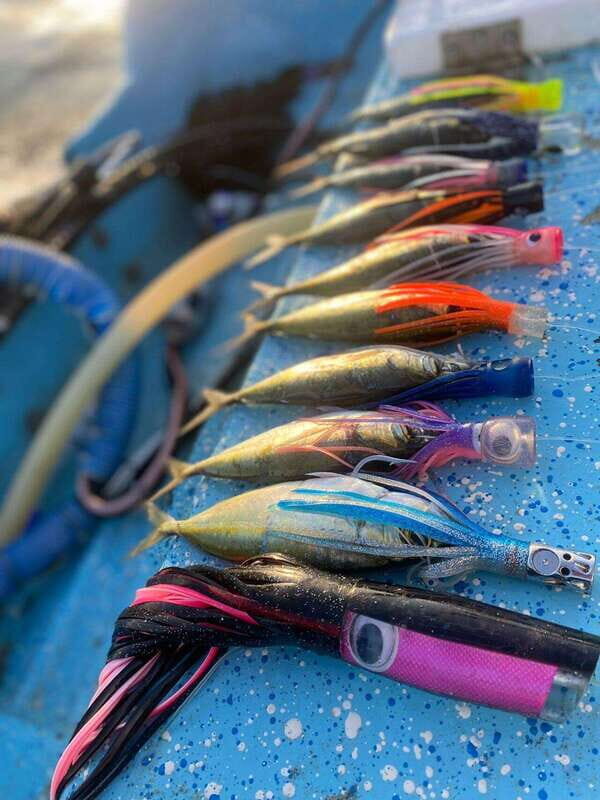 Puerto Escondido: Fishing Boat Trip with Buffet Lunch - An In-Depth Look at the Experience