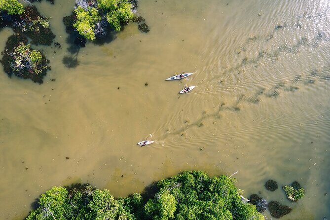 Puerto Escondido: Manialtepec Lagoon by Kayak - Final Thoughts