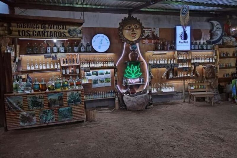Puerto Escondido: Mezcal, Coffee, and Pedal Loom Factory - Key Points