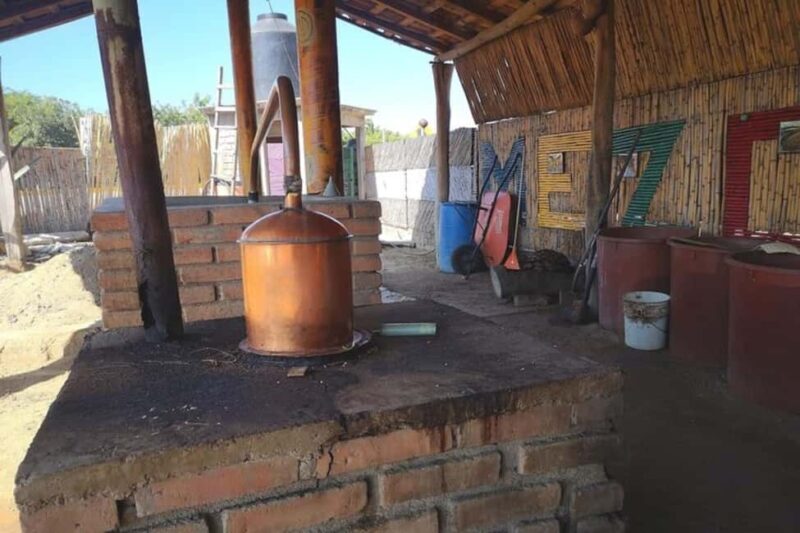 Puerto Escondido: Mezcal, Coffee, and Pedal Loom Factory - What Travelers Say
