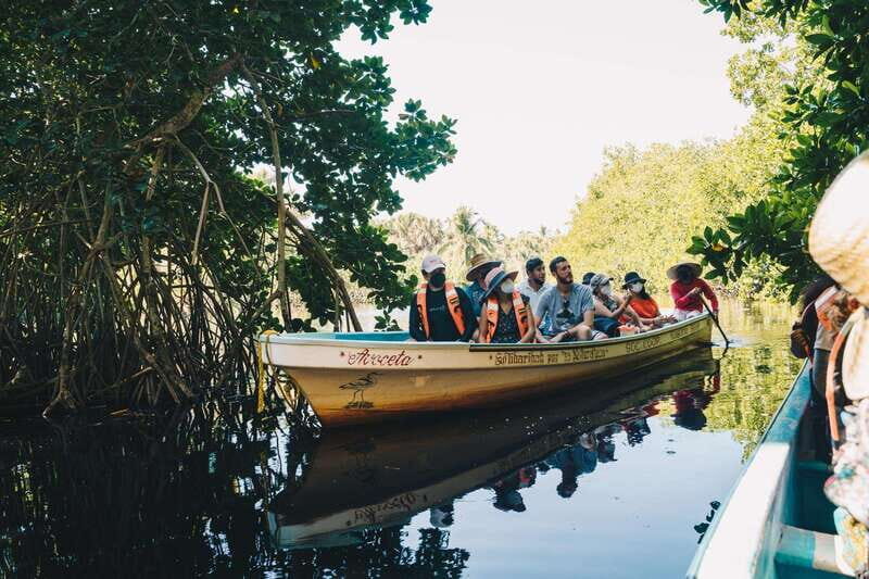 Puerto Escondido: Oaxaca Coast Wildlife Ecotour - Introduction