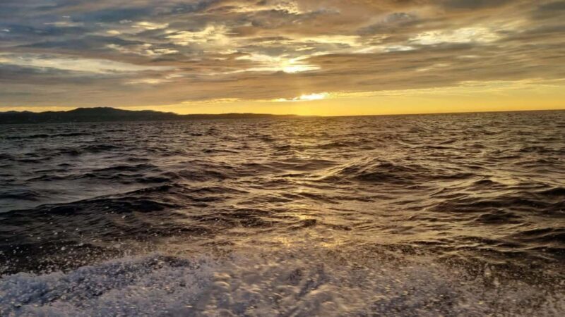 Puerto Escondido: The Best Adventure for Dolphin Watching - Who Will Love This Tour