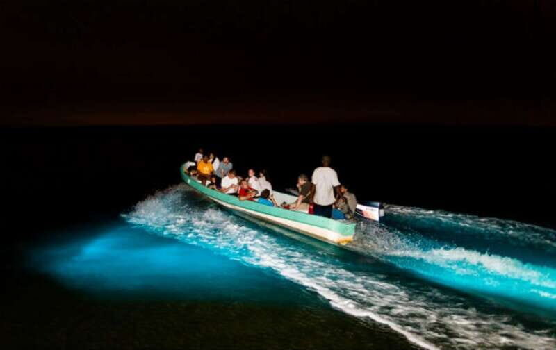 Puerto Escondido: Turtle Release and Bioluminescent Plankton - Key Points