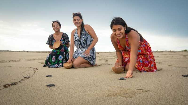 Puerto Escondido: Turtle Release and Bioluminescent Plankton - Practical Tips for Participants