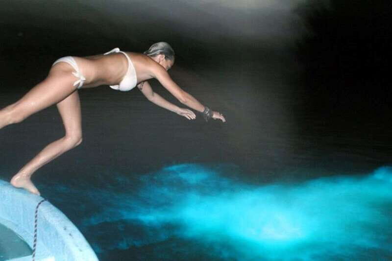 Puerto Escondido: Turtle Release and Bioluminescent Plankton - Who Will Enjoy This Tour?