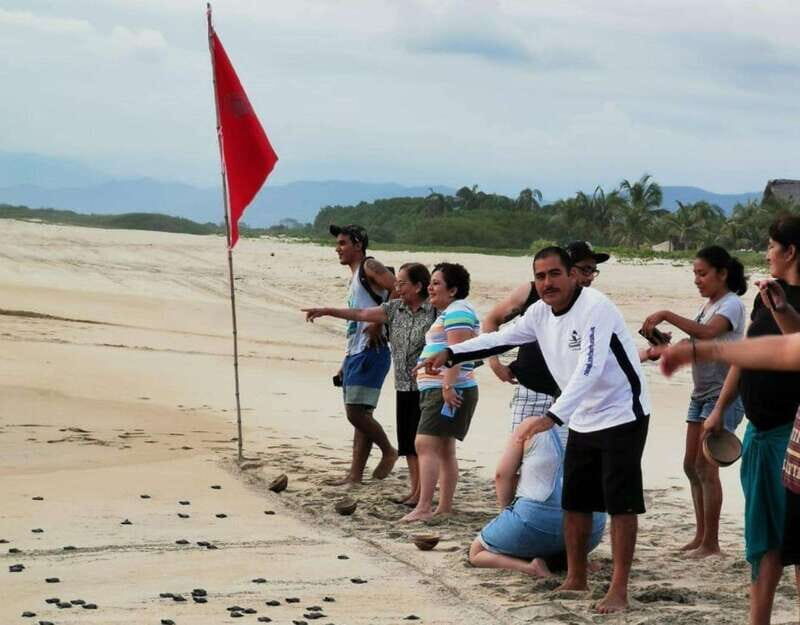 Puerto Escondido: Turtle Release Experience - Considerations and Practicalities