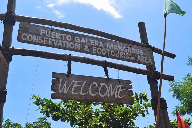 Puerto Galera Snorkeling Activities - Key Points