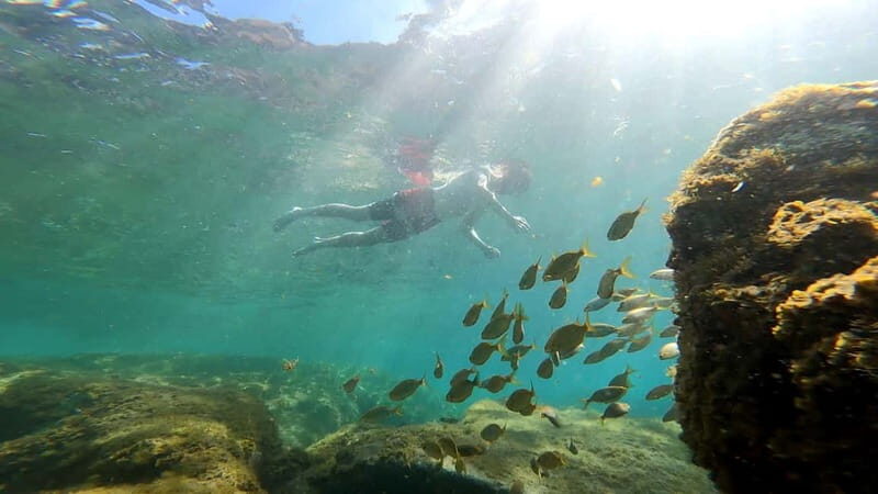 Puerto Mogán: Guided Adventure Kayak Tour in Caves & Snorkel - What Travelers Say